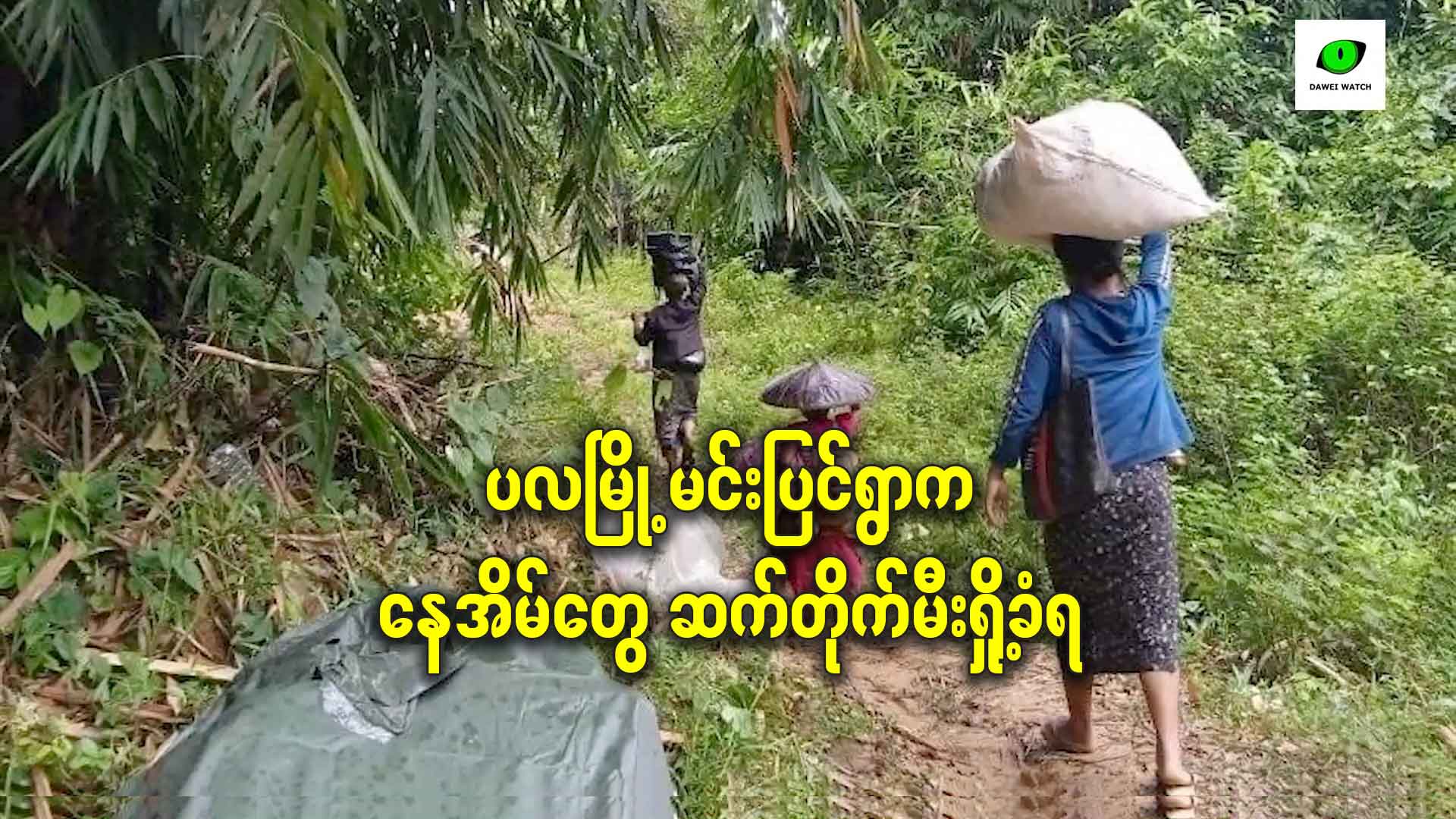ပလမြို့ မင်းပြင်ရွာက နေအိမ်တွေ ဆက်တိုက်မီးရှို့ခံရ - Dawei Watch