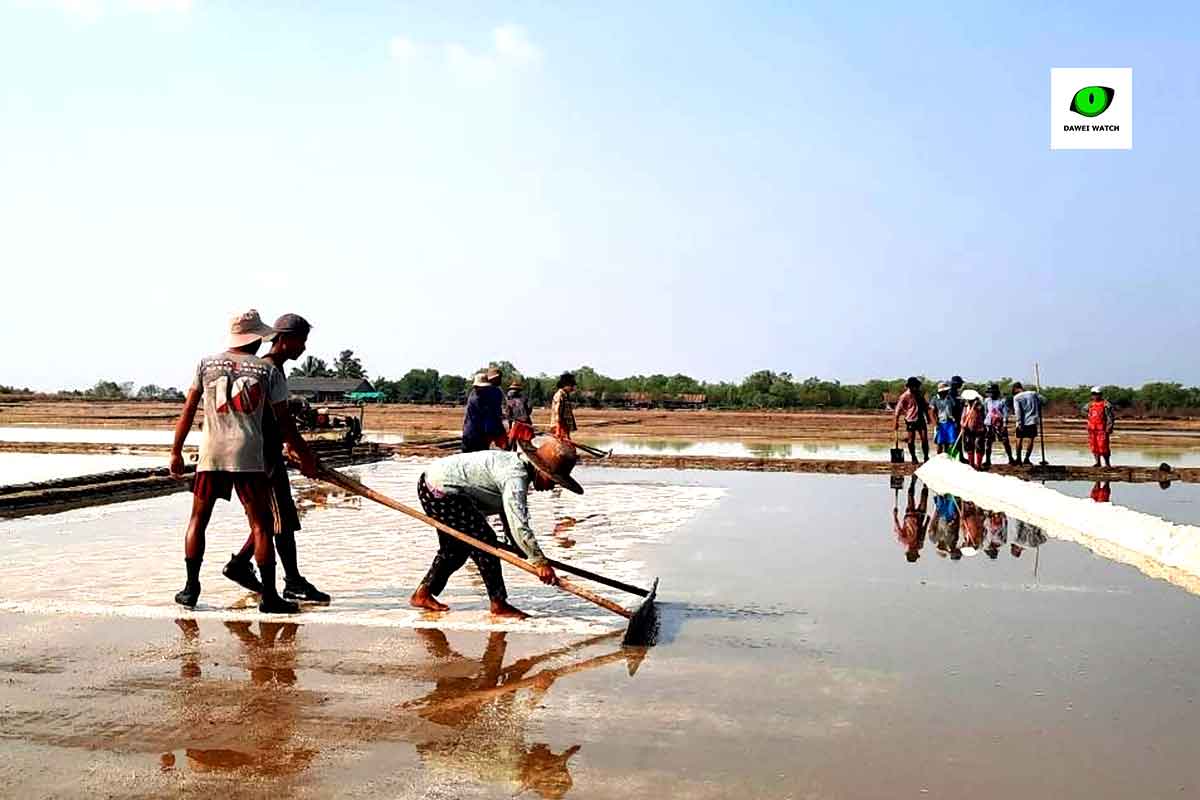 ထားဝယ်ခရိုင်က ဆားလုပ်ငန်းများ မစတင်နိုင်သေး - Dawei Watch